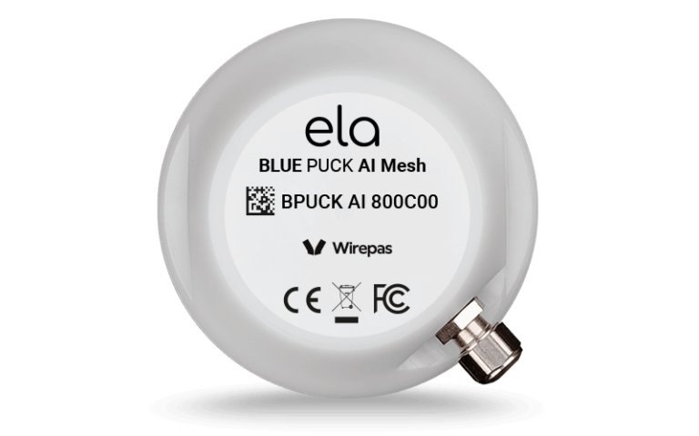 Blue PUCK AI MESH